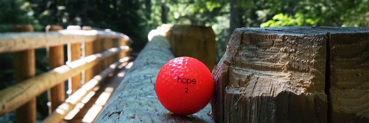 Power of Hope: Teaching and Developing Hopeful Thinking in Students ...